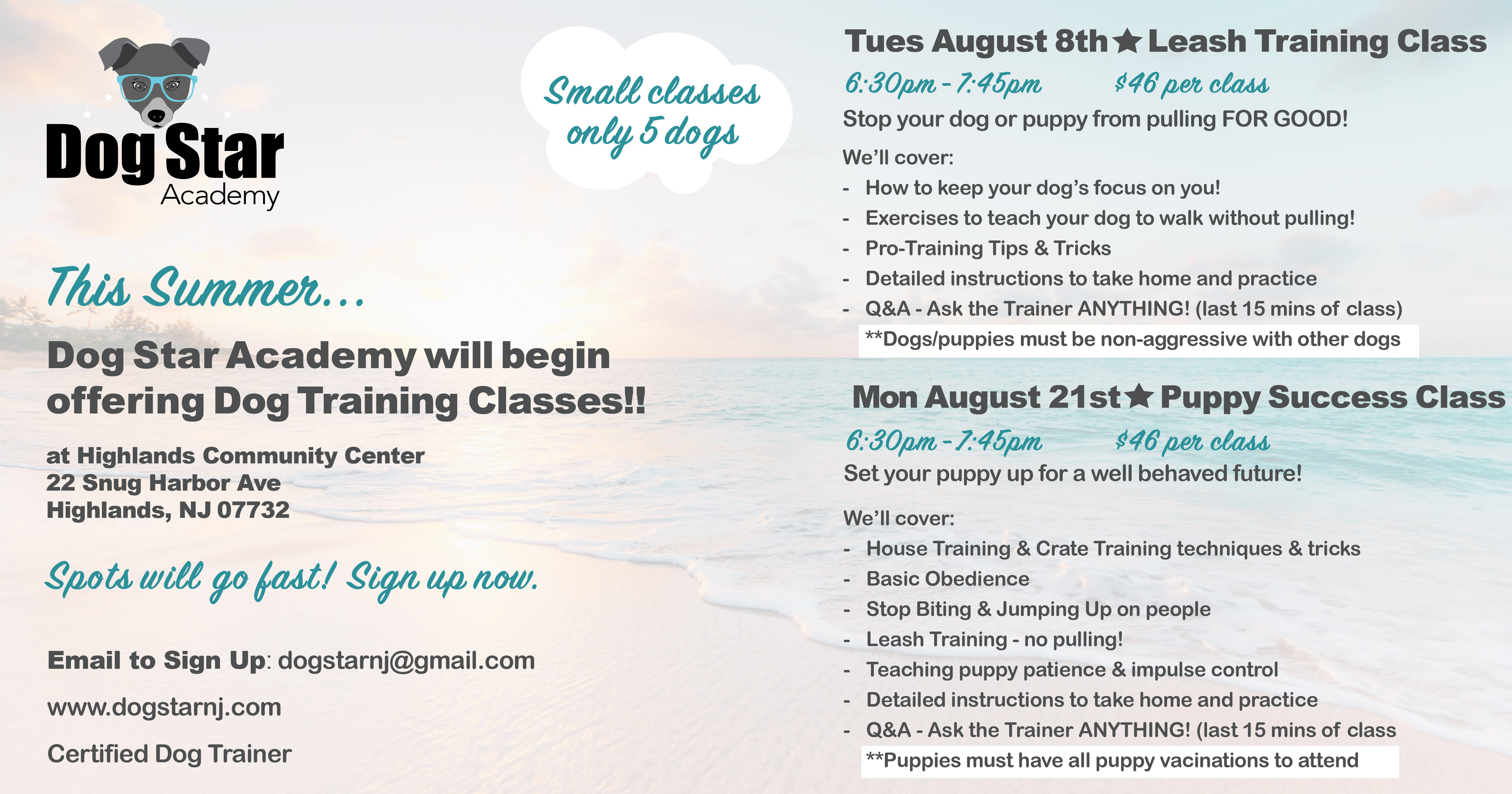 Seasonal Classes – Dog Star Academy